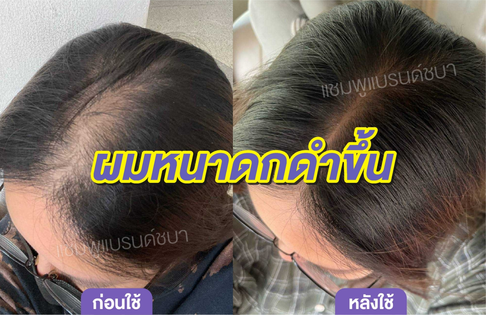 chaba_official, ร้านค้าออนไลน์ | Shopee Thailand