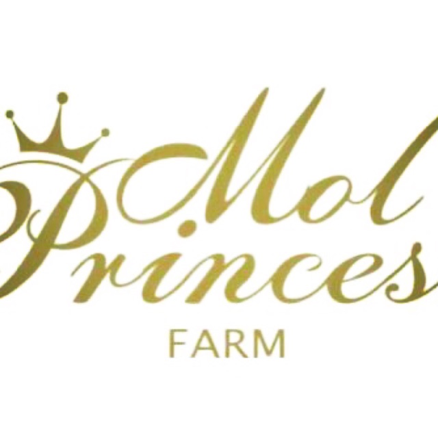 Mol Princess Farm, ร้านค้าออนไลน์ | Shopee Thailand