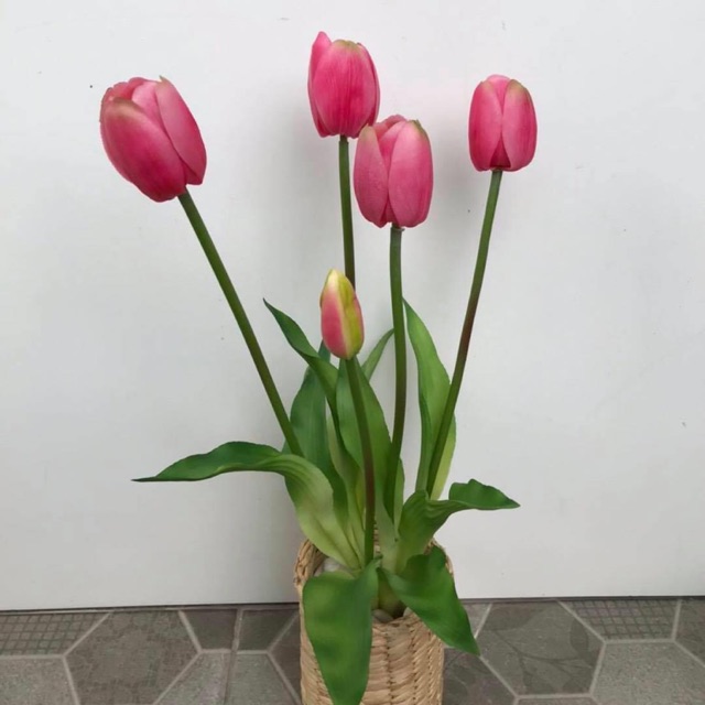 oo_kitty, ร้านค้าออนไลน์ | Shopee Thailand