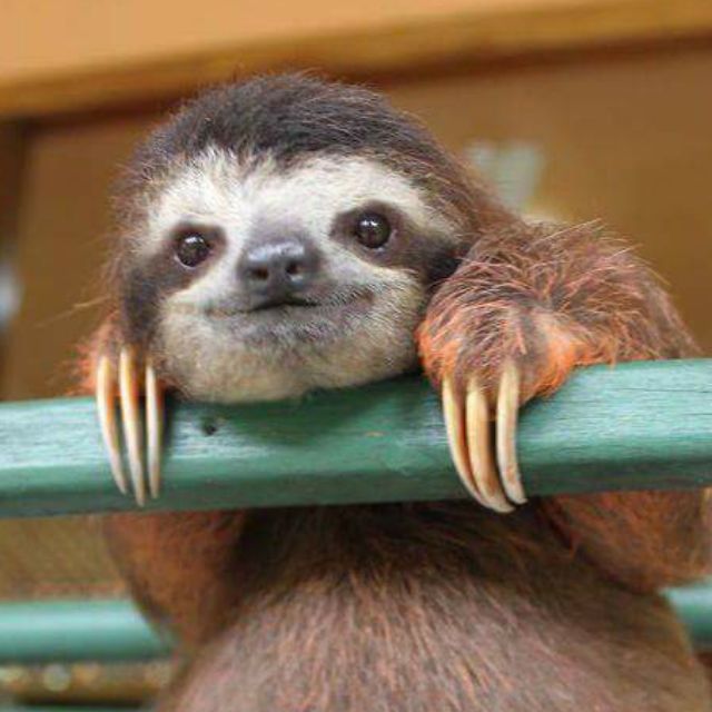 Cholly Books, ร้านค้าออนไลน์ | Shopee Thailand