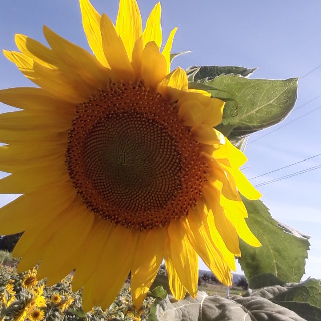 jamlak, ร้านค้าออนไลน์ | Shopee Thailand