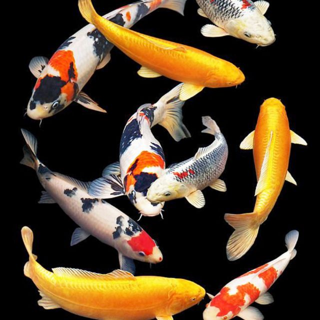 Dkt_poster&frame, ร้านค้าออนไลน์ | Shopee Thailand