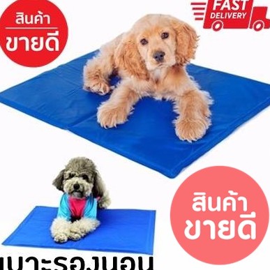 patcharee.ree, ร้านค้าออนไลน์ | Shopee Thailand