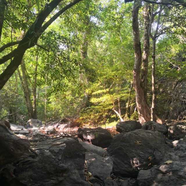 Sun_soon, ร้านค้าออนไลน์ | Shopee Thailand