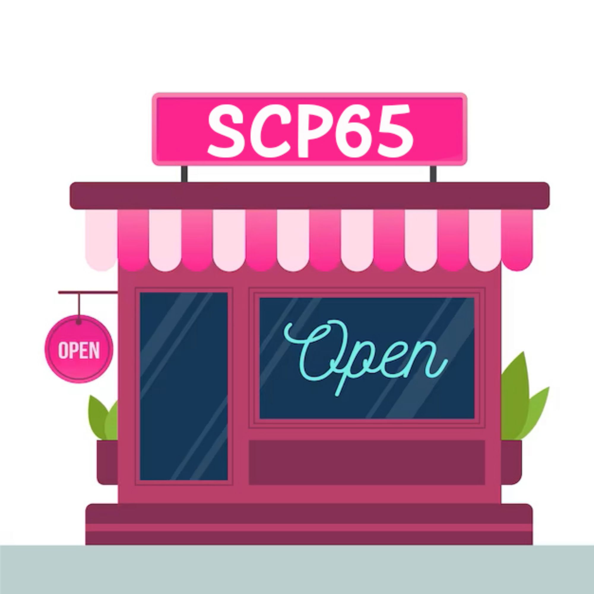 SCP65, ร้านค้าออนไลน์ | Shopee Thailand
