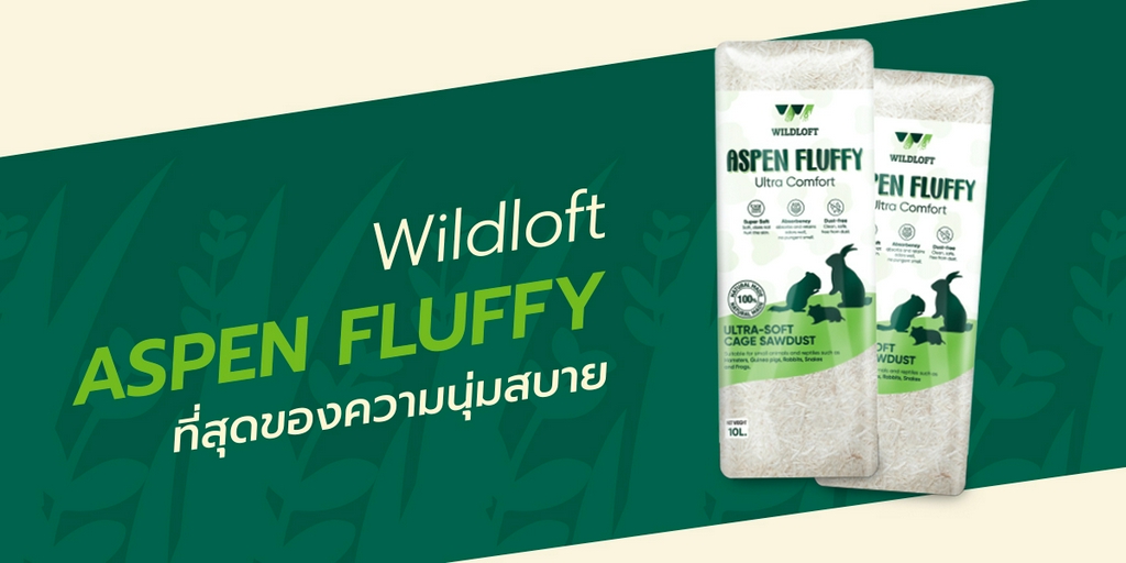 สั่งซื้อสินค้าออนไลน์จาก WILDLOFT OFFICIAL | Shopee Thailand
