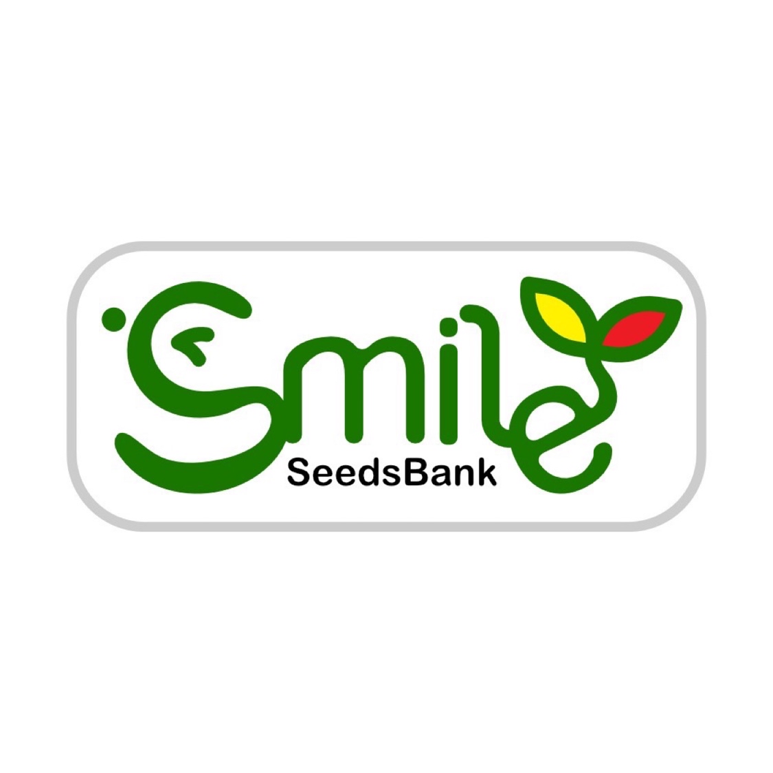 Smile Seeds Bank, ร้านค้าออนไลน์ | Shopee Thailand
