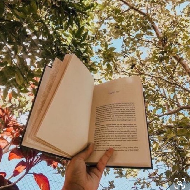 noina’s store, ร้านค้าออนไลน์ | Shopee Thailand