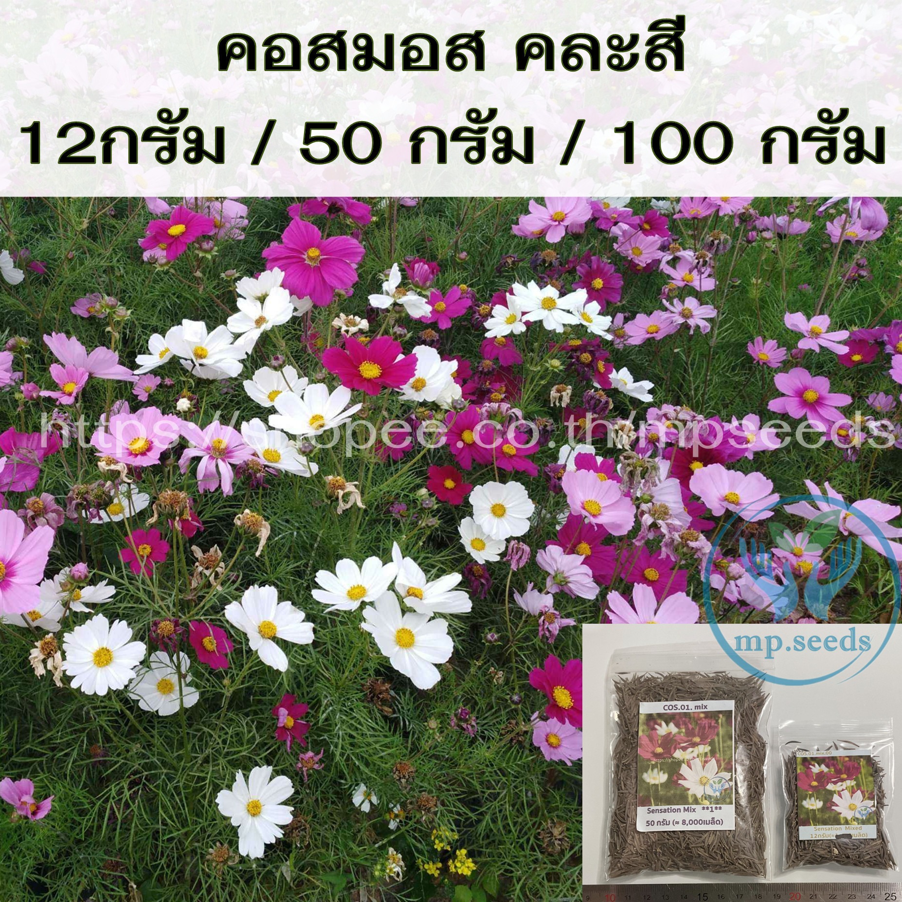 mpseeds, ร้านค้าออนไลน์ | Shopee Thailand