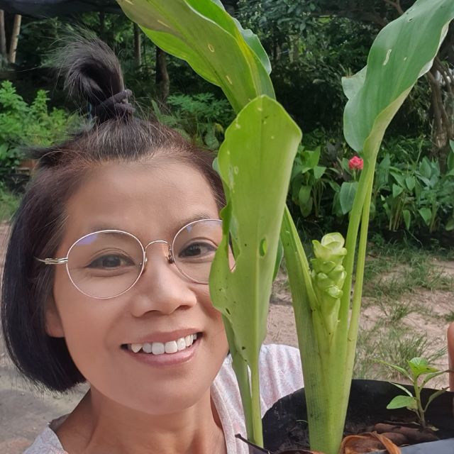 phichamon.plongphan, ร้านค้าออนไลน์ | Shopee Thailand