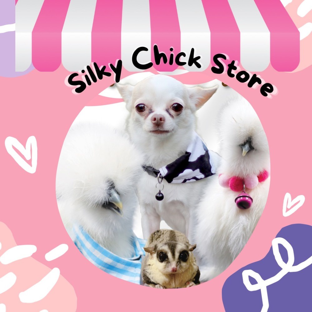 Silky Chick Store, ร้านค้าออนไลน์ | Shopee Thailand
