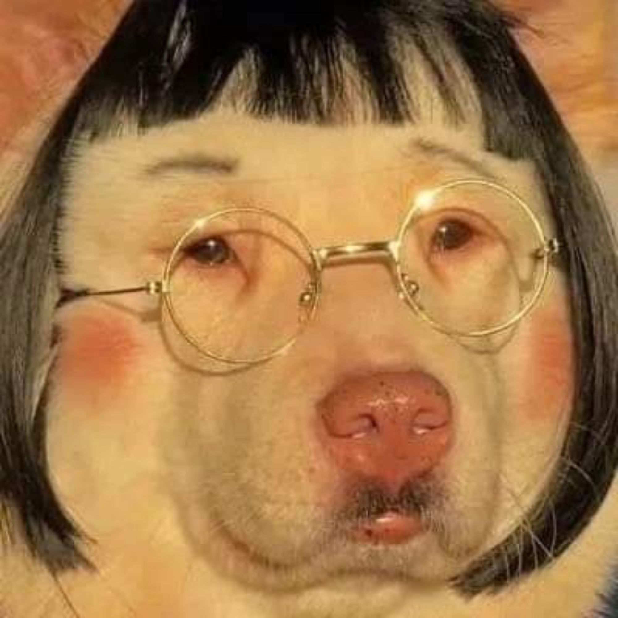 Rising Shop, ร้านค้าออนไลน์ | Shopee Thailand