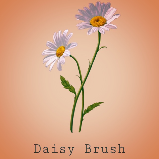 🌺 Daisy_Brush 💐, ร้านค้าออนไลน์ | Shopee Thailand