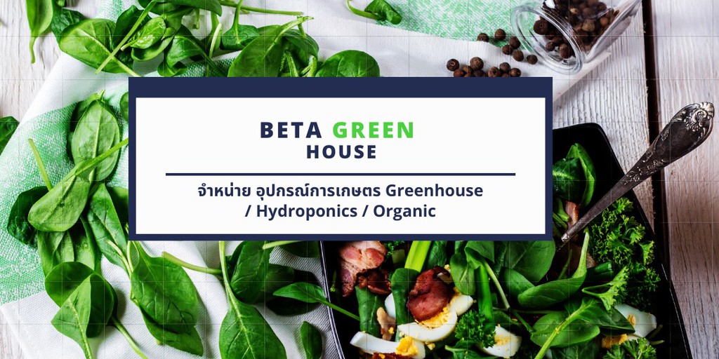 BETA_GREEN, ร้านค้าออนไลน์ | Shopee Thailand