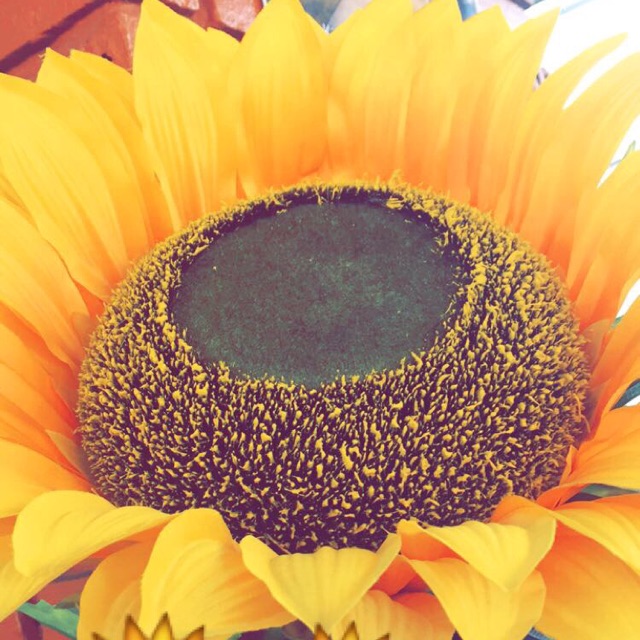 cchaya.a, ร้านค้าออนไลน์ | Shopee Thailand