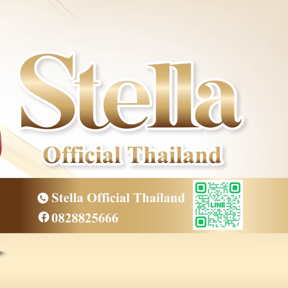 Stella Official Thailand, ร้านค้าออนไลน์ | Shopee Thailand