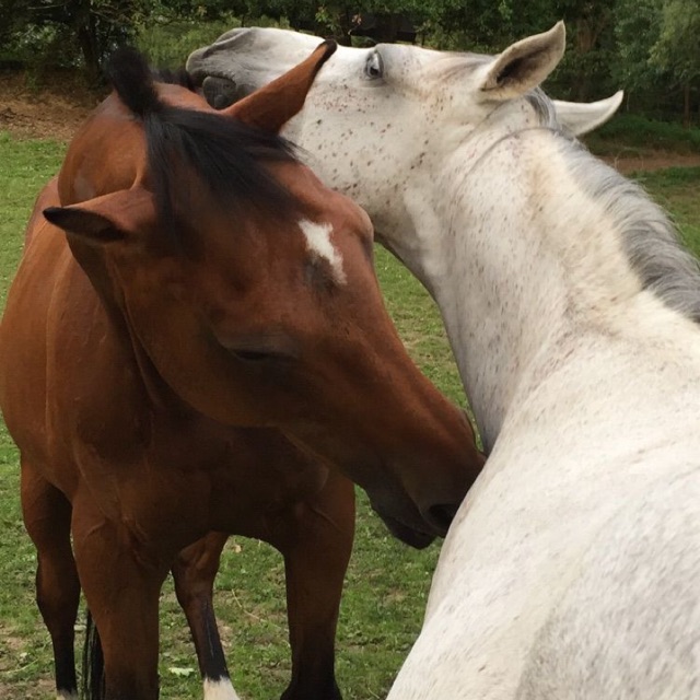 Alex&Papi, ร้านค้าออนไลน์ | Shopee Thailand