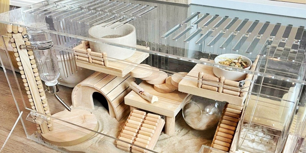 Hamster Box Thailand, ร้านค้าออนไลน์ | Shopee Thailand