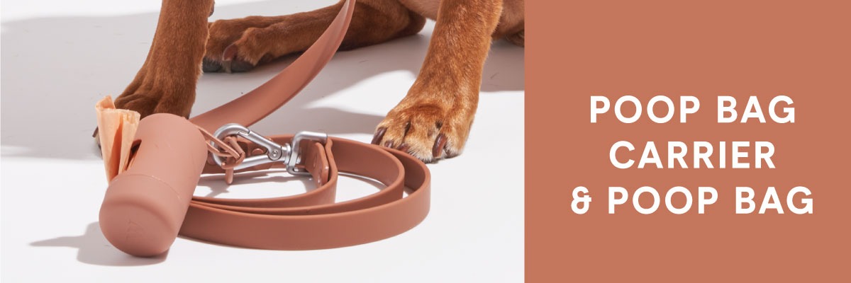 Wild One Official, ร้านค้าออนไลน์ | Shopee Thailand