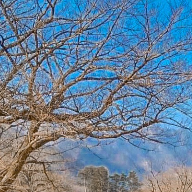 beebon.th, ร้านค้าออนไลน์ | Shopee Thailand