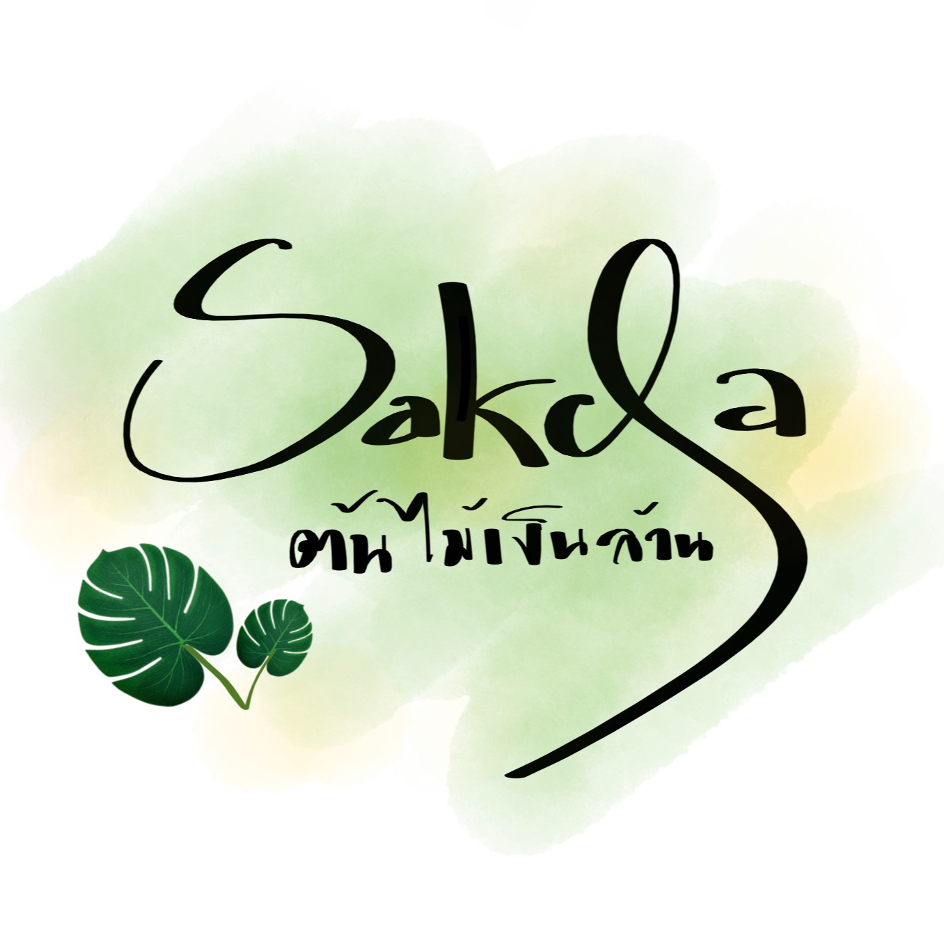 Sakda888ต้นไม้เงินล้าน, ร้านค้าออนไลน์ | Shopee Thailand