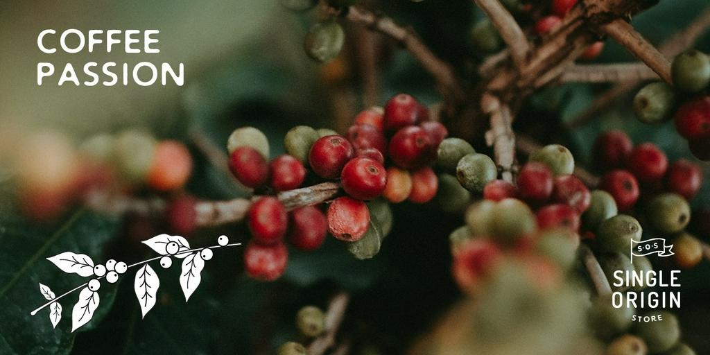 Single.Origin.Store, ร้านค้าออนไลน์ | Shopee Thailand