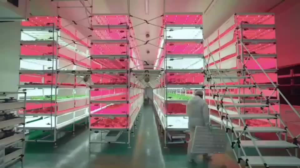 LED Farm, ร้านค้าออนไลน์ | Shopee Thailand