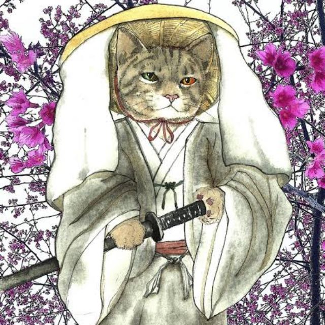 Kitty Katana, ร้านค้าออนไลน์ | Shopee Thailand