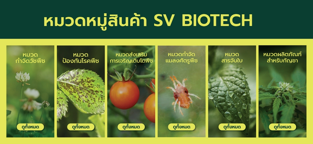 SV BIOTECH, ร้านค้าออนไลน์ | Shopee Thailand