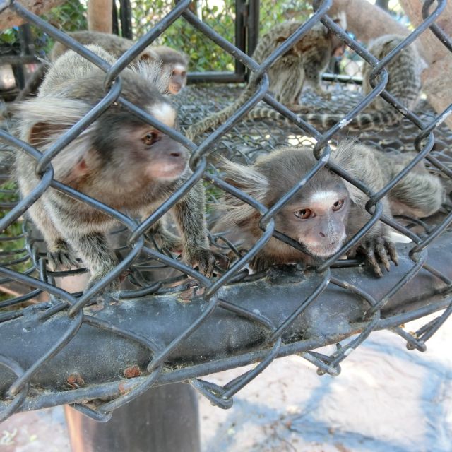 Lookjan mini shop, ร้านค้าออนไลน์ | Shopee Thailand