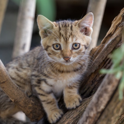 winwynn, ร้านค้าออนไลน์ | Shopee Thailand