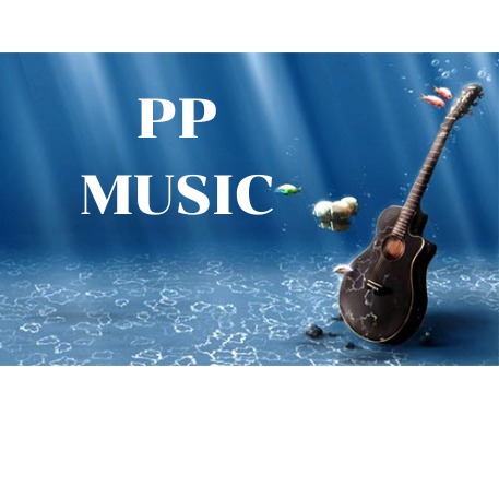 PP MUSIC, ร้านค้าออนไลน์ | Shopee Thailand