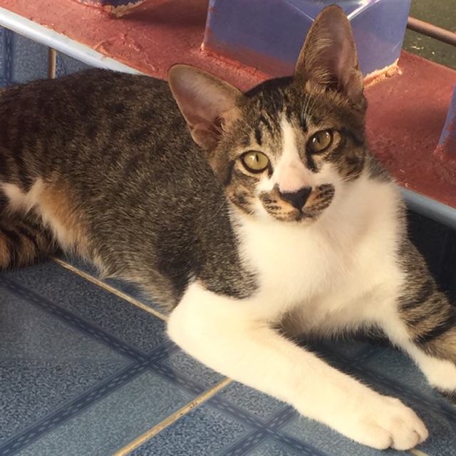 wan_wilaiwan, ร้านค้าออนไลน์ | Shopee Thailand