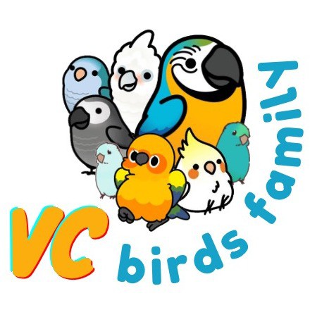 VC Birds Family, ร้านค้าออนไลน์ | Shopee Thailand