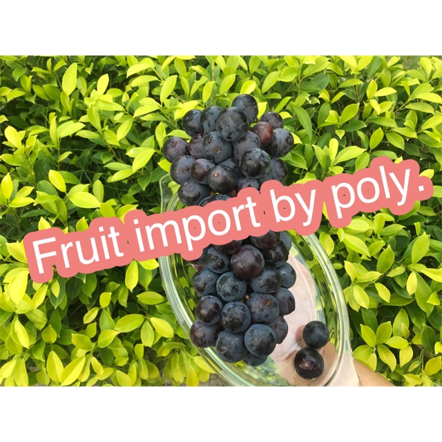 Polyy.Shop, ร้านค้าออนไลน์ | Shopee Thailand