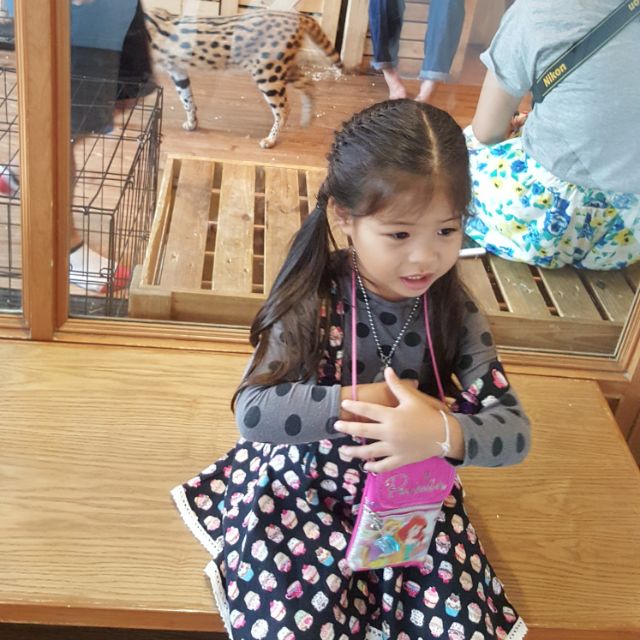 Amie.kids, ร้านค้าออนไลน์ | Shopee Thailand