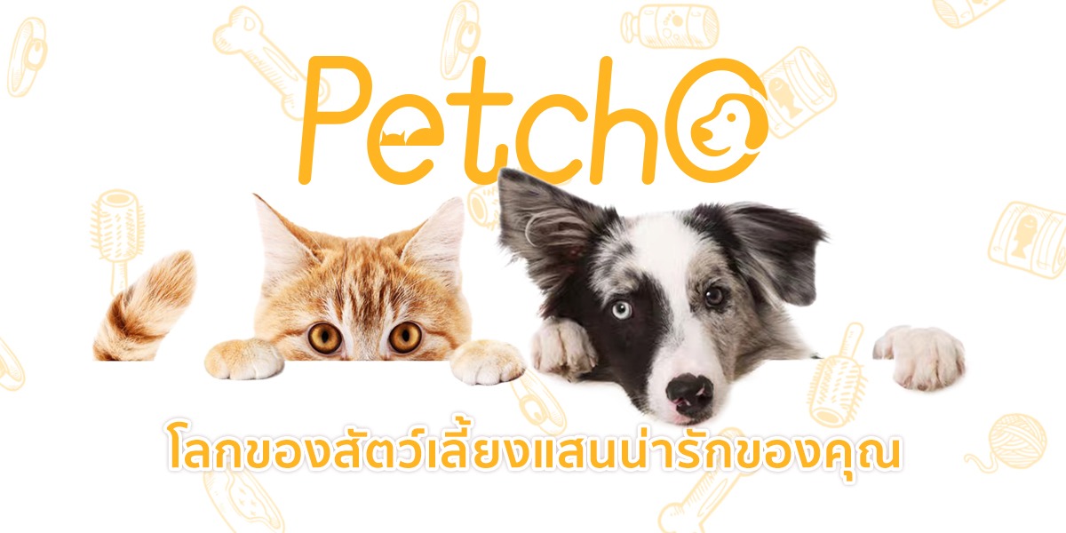Petcho Official Shop, ร้านค้าออนไลน์ | Shopee Thailand