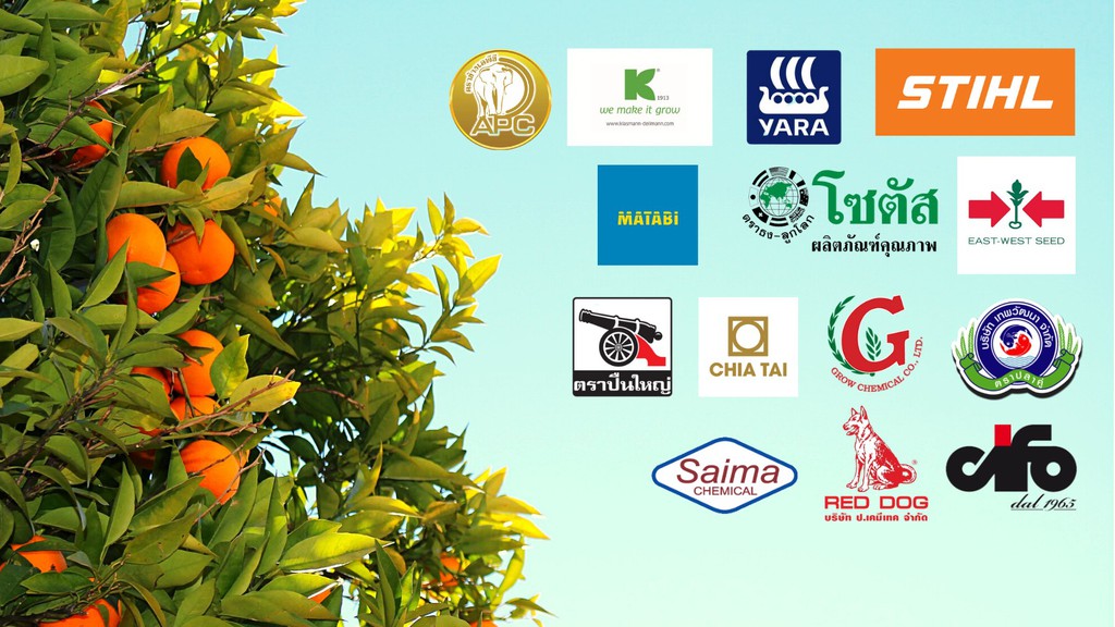 Vitamin Tree, ร้านค้าออนไลน์ | Shopee Thailand