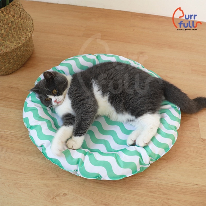 Purr full, ร้านค้าออนไลน์ | Shopee Thailand