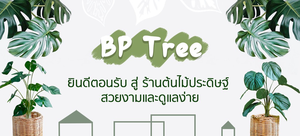 BP Tree, ร้านค้าออนไลน์ | Shopee Thailand