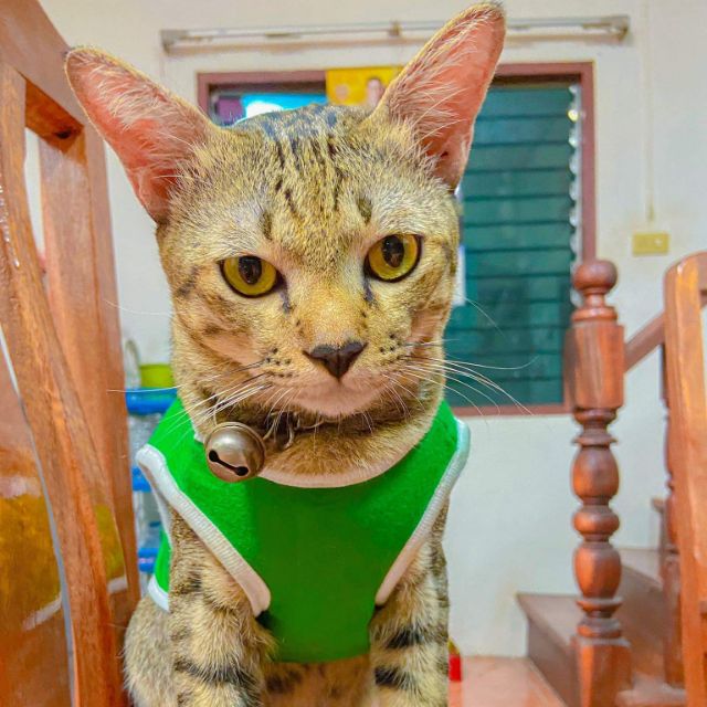 jkhjkh, ร้านค้าออนไลน์ | Shopee Thailand