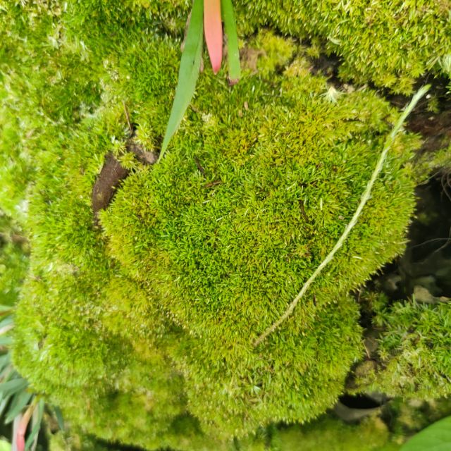 koy__1234566788, ร้านค้าออนไลน์ | Shopee Thailand