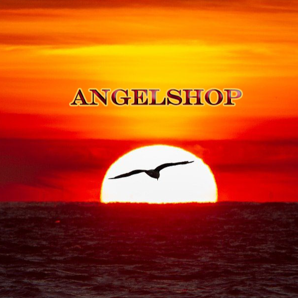 Angel mobile shop2465, ร้านค้าออนไลน์ | Shopee Thailand