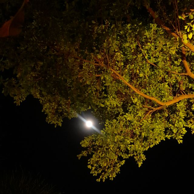 pt.good.day, ร้านค้าออนไลน์ | Shopee Thailand