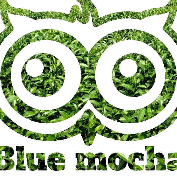 Bluemocha official, ร้านค้าออนไลน์ | Shopee Thailand