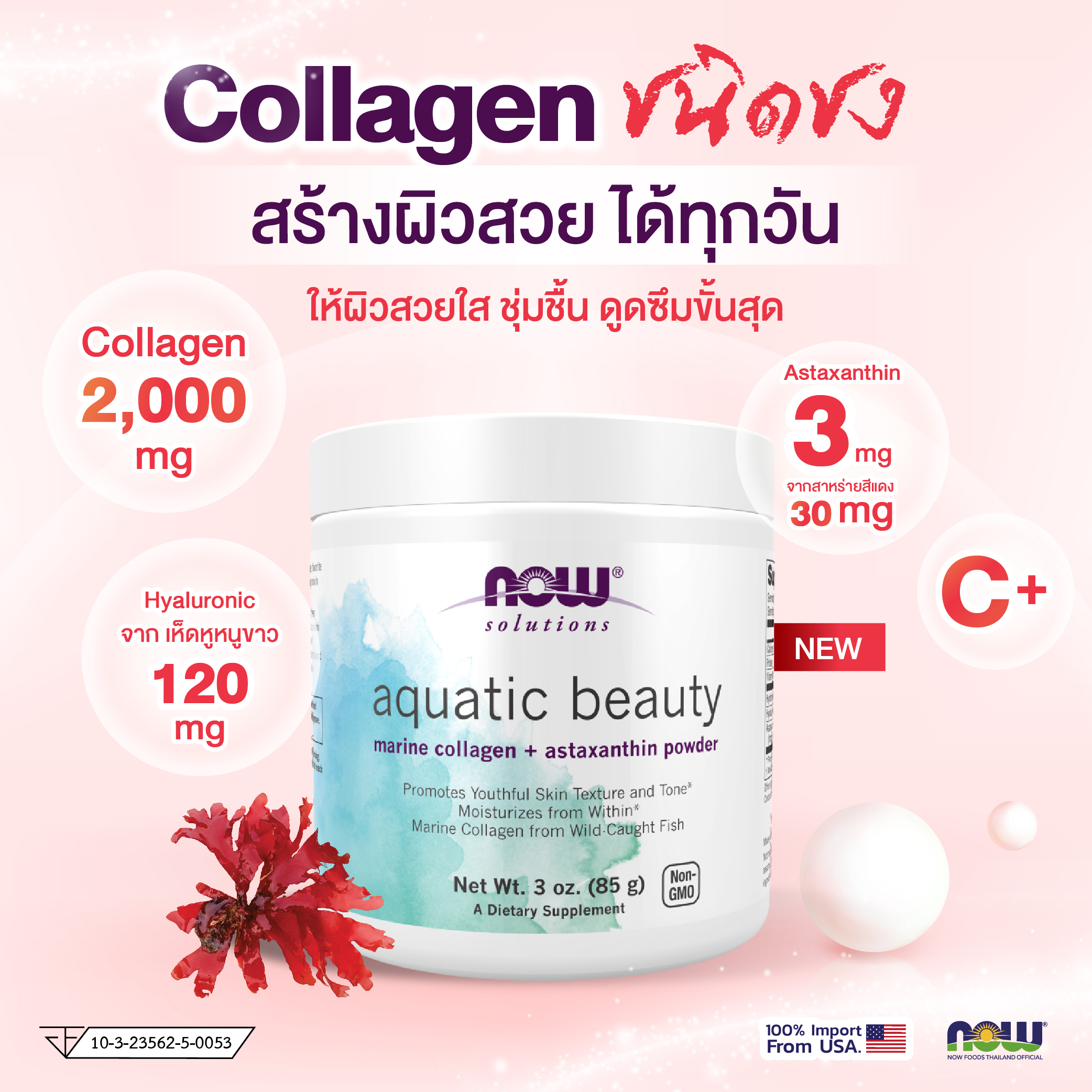 สั่งซื้อสินค้าออนไลน์จาก Now Foods Official Shop TH | Shopee Thailand
