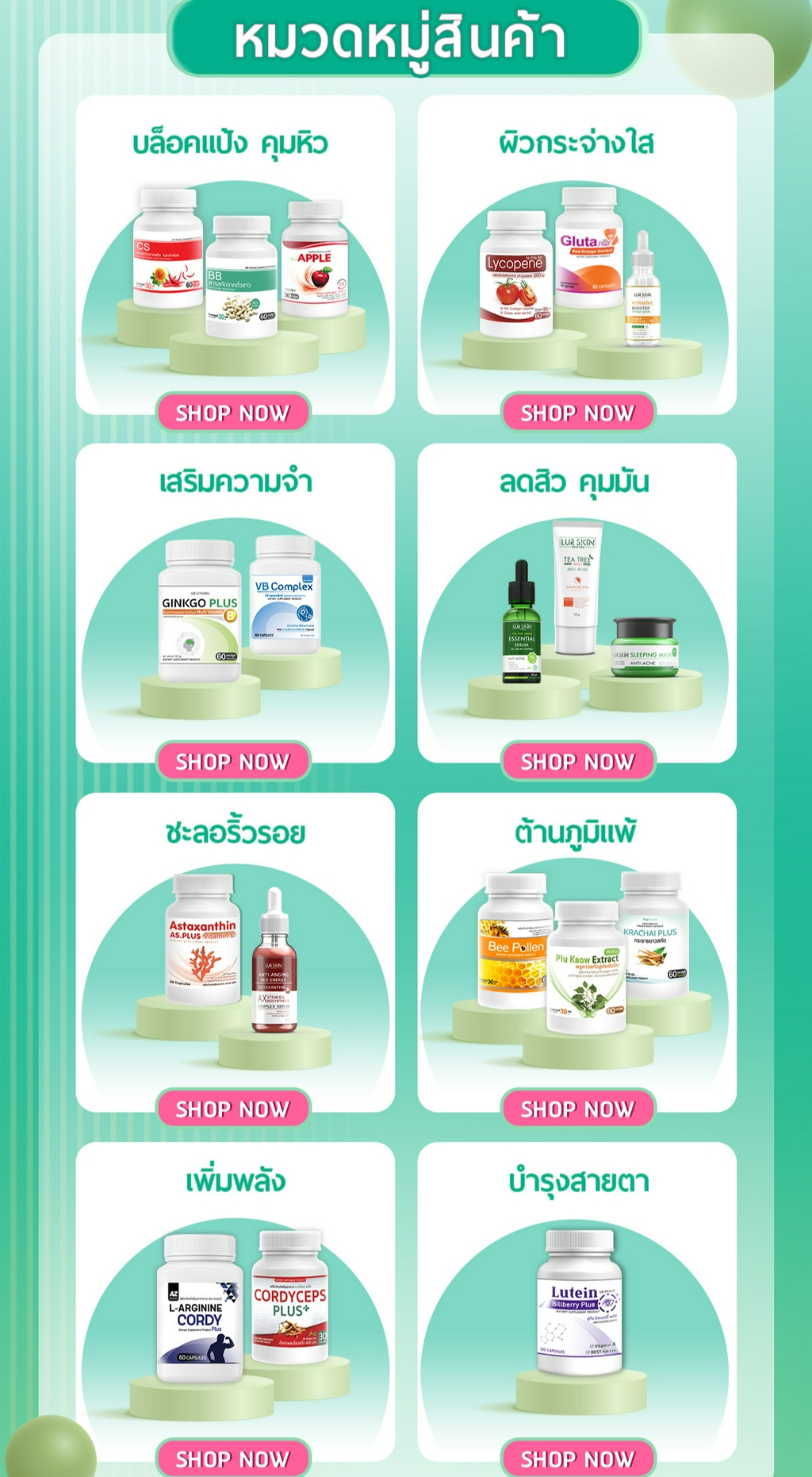 New Life Plus, ร้านค้าออนไลน์ | Shopee Thailand