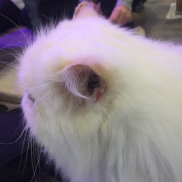 WSR SHOP, ร้านค้าออนไลน์ | Shopee Thailand