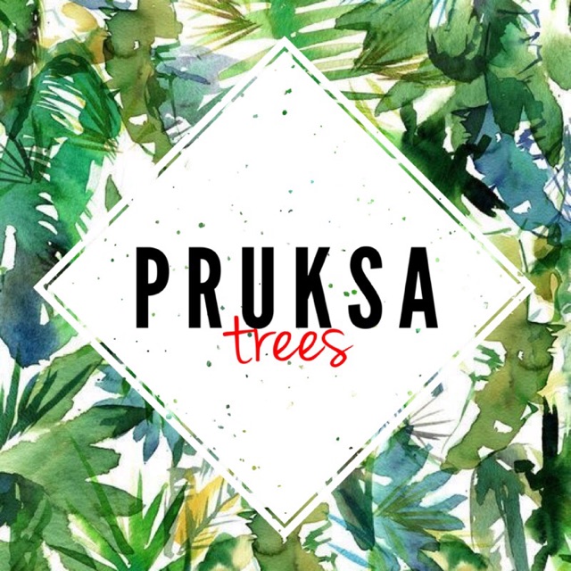 pruksa_trees, ร้านค้าออนไลน์ | Shopee Thailand