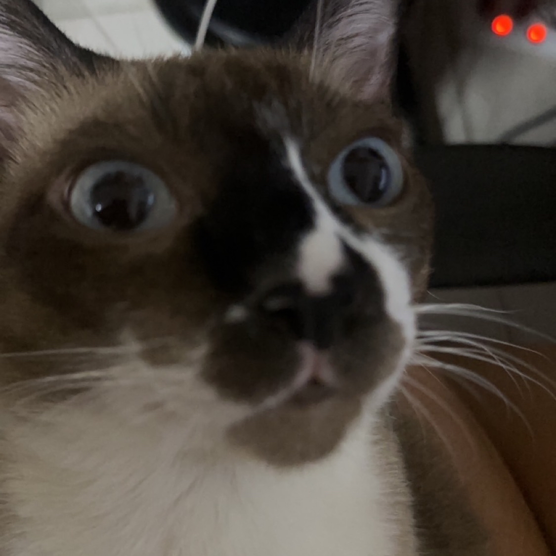 Jabbala shop, ร้านค้าออนไลน์ | Shopee Thailand